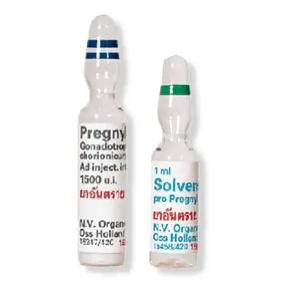 HCG Pregnyl 1500 IU: Buy Legit Organon Steroids Post Cycle Therapy